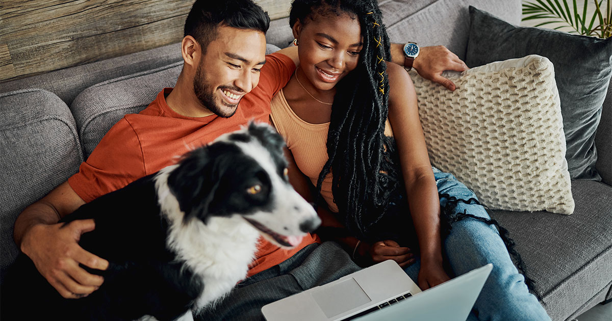5 Pet Products With Tech To Keep Companions Safe | FTC.net